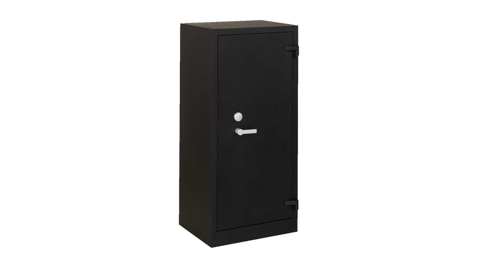 Brandwerende archiefkast huren | Veilige opslag | RECO